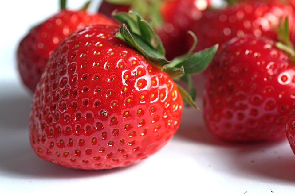 15 Best Vegan Skincare Brands 2026: Expert-Tested & Ethical Picks ...